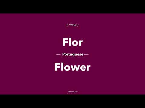 What is the Word for Flower in Portuguese?