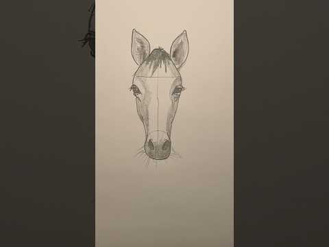 Draw a horse ???? Easy drawing lesson for beginners on how to draw a horse #drawinglesson #howtodraw