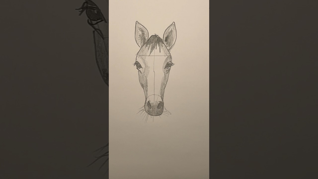 Draw a horse 🐴 Easy drawing lesson for beginners on how to draw a horse #drawinglesson #howtodraw