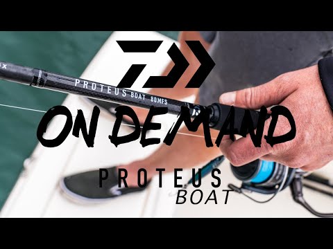 Daiwa Proteus Boat Conventional Rods - TackleDirect
