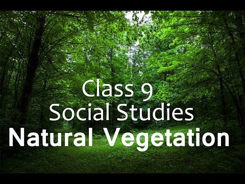 Class 9 Social Science Geography - Natural Vegetation Video Lecture