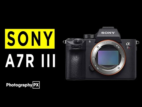 Sony Alpha 7R III Mirrorless Camera Highlights & Overview