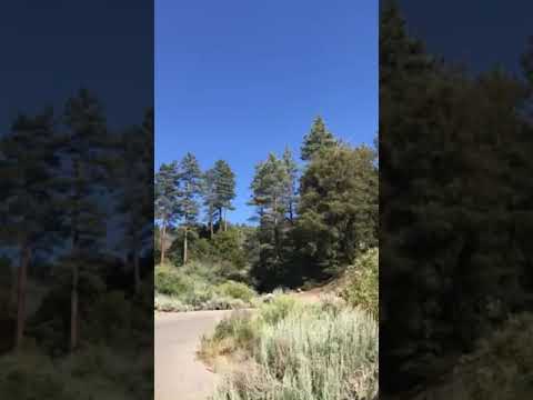 Chuchupate Campground, CA | The Dyrt