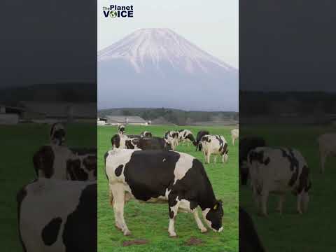 Desertification | Desertification Causes and Effects | #desertification #climatechange