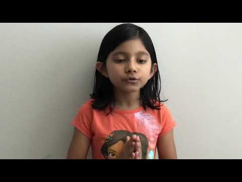 Endangered Animals - Problems and Solutions
