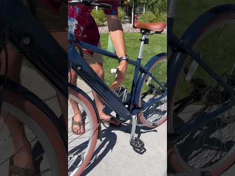 Priority E-Classic Plus E-Bike Preview