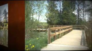 3 Best Hiking Trails in Richmond Hill, ON - Expert Recommendations