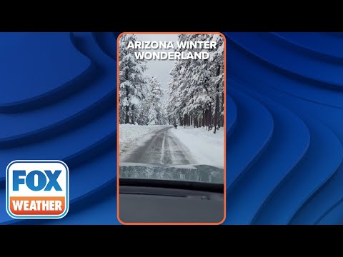 Beautiful Snowy Drive in Flagstaff, Arizona