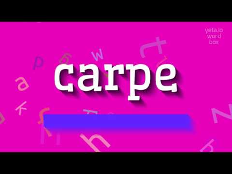 How to say "carpe"! (High Quality Voices)