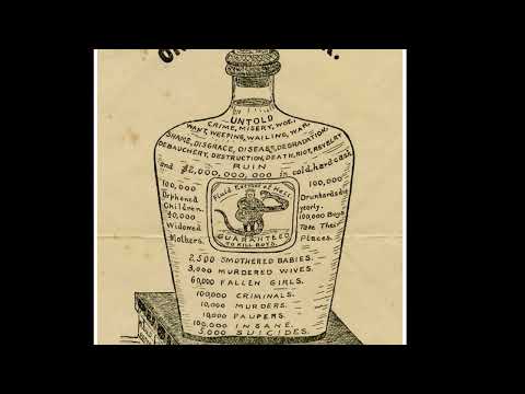 U.S History Documentary- Temperance Movement