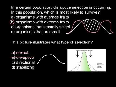What is disruptive and stabilizing selection? Population Genttics.