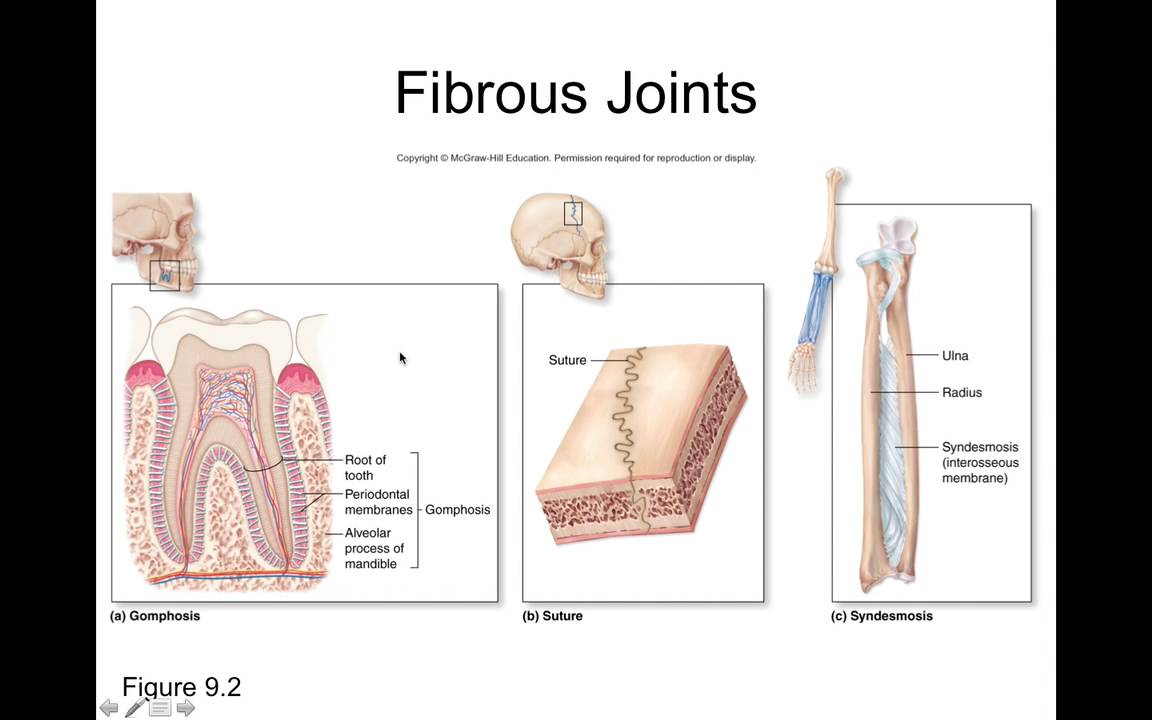 Chapter 9 Introduction to Joints Part1