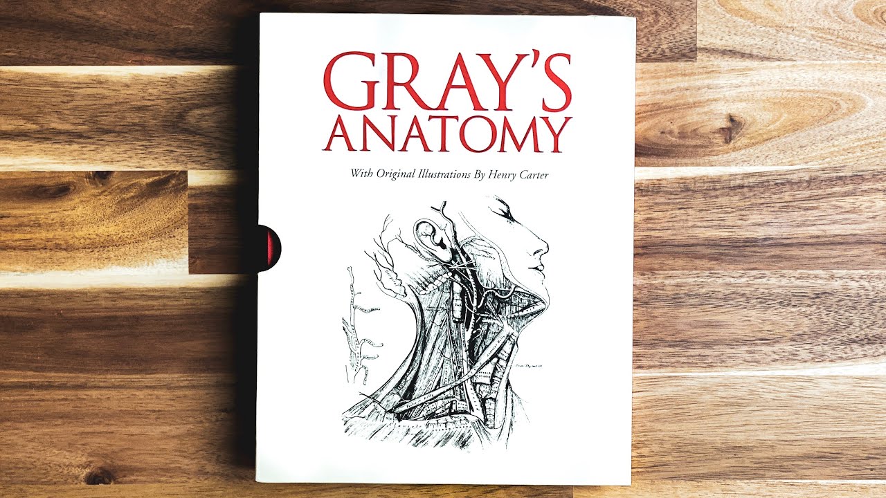 The Dark Story Behind Gray's Anatomy | Patrick Kelly