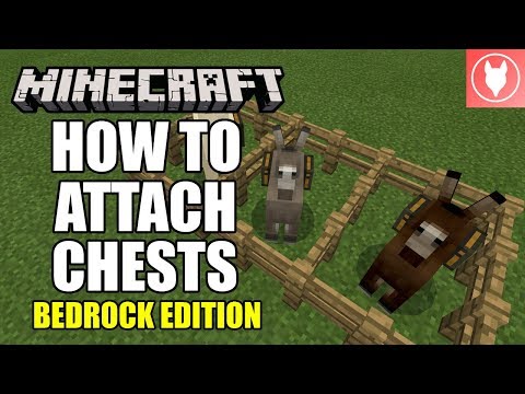 Minecraft Bedrock - How to Attach Chests Tutorial ( Xbox / MCPE / Windows 10 / Switch )