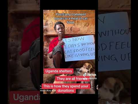 How scammers spend your donations#dogs#cats#scam#abuse#uganda#animalabuse#money#shelter#scamshelters