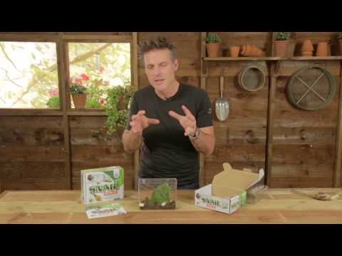 My Living World Snail Kit | Hobbycraft