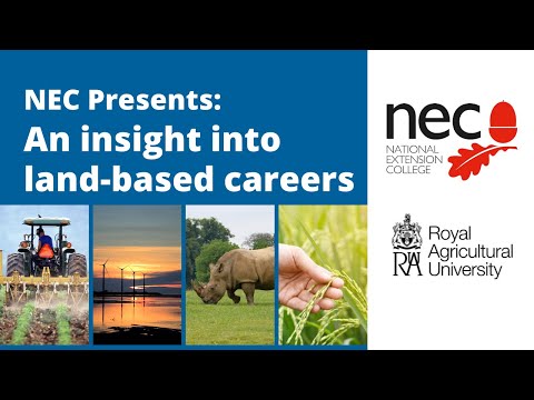 NEC Presents: An insight into land-based careers