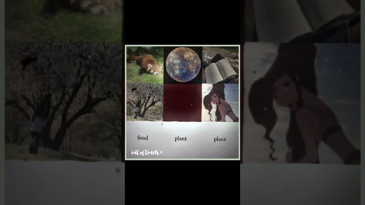 #IDK :: how pin sees me :: #me #algorithm  #capcutedit