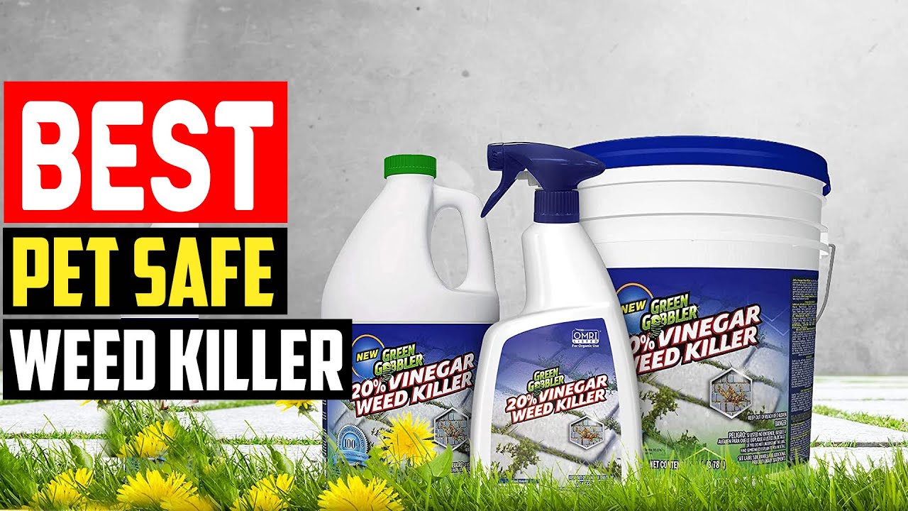 ✅Top 5 Best Pet Safe Weed Killer for Your Yard in 2025