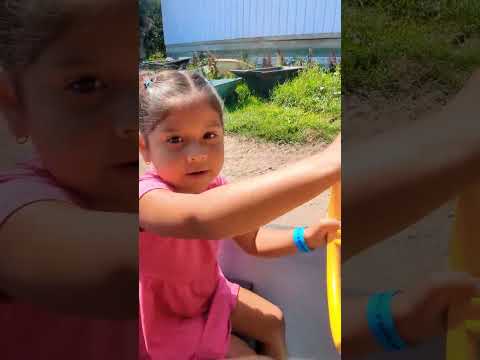lewis petting farm in new era, Michigan. fun for kids. #youtubeshorts #subscribe #youtube #share