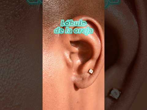 LÓBULO DE LA OREJA | DEFINICIÓN MÉDICA VOCABULARIO TERMINOLOGÍA