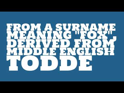 What does the name Todd mean?