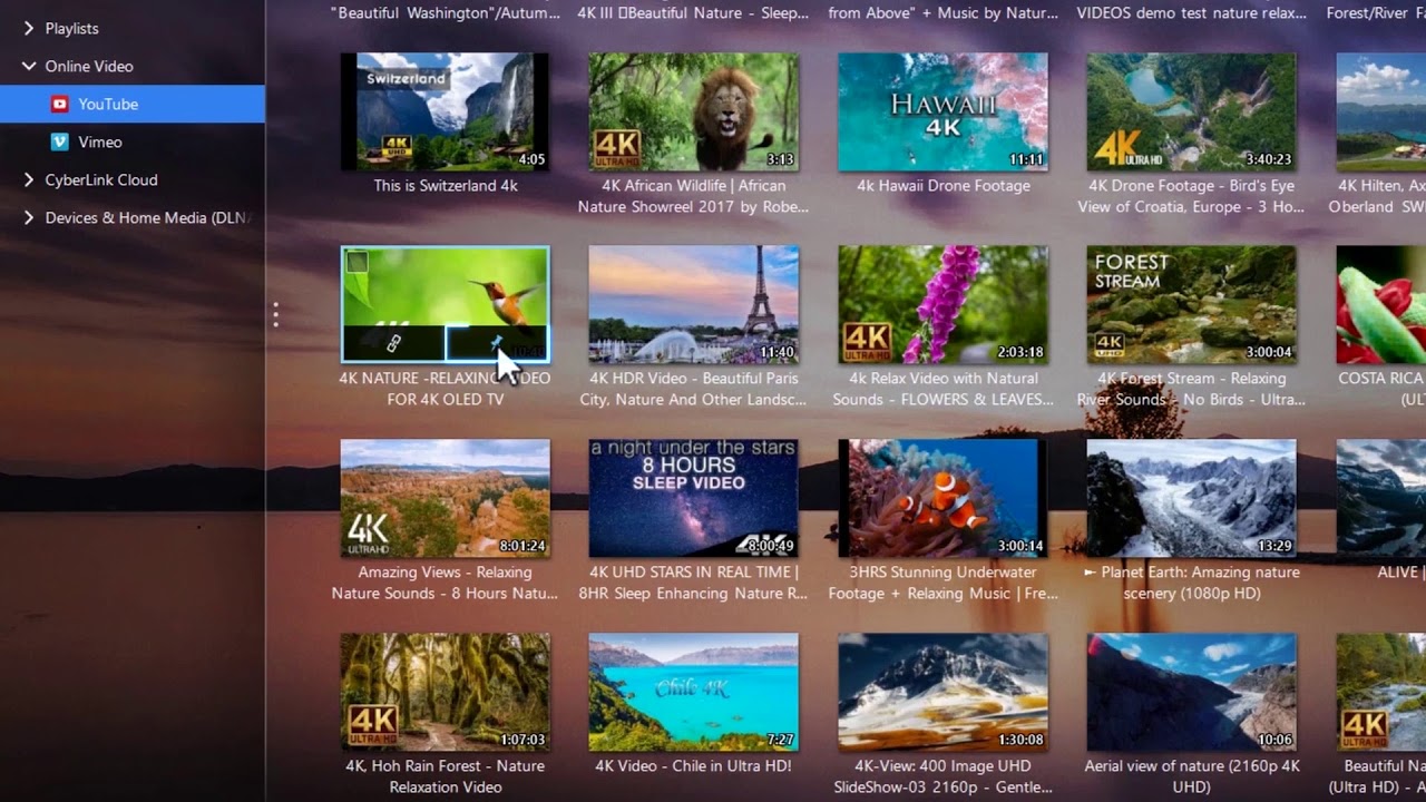 PowerDVD 19 - Pin YouTube Videos in Any Quality You Want