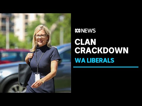 Liberal MP text controversy prompts apology as new leader draws 'line in the sand' | ABC News