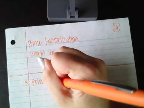 Prime Numbers Intro