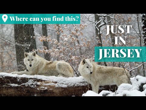 The 12 Very Best NJ Day Trips You Can Possibly Take