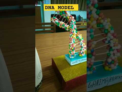 DNA Model (science ðŸ”🧪 Project)How to make a DNA model Using thermocol #shorts
