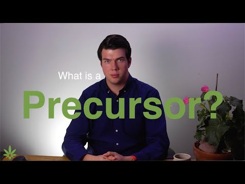 What is a Precursor? | Hemp Vernacular