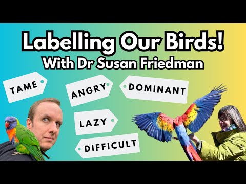 Bird Behaviour Labels | Should We Label Our Parrots | Dr Susan Friedman Interview | TheParrotTeacher