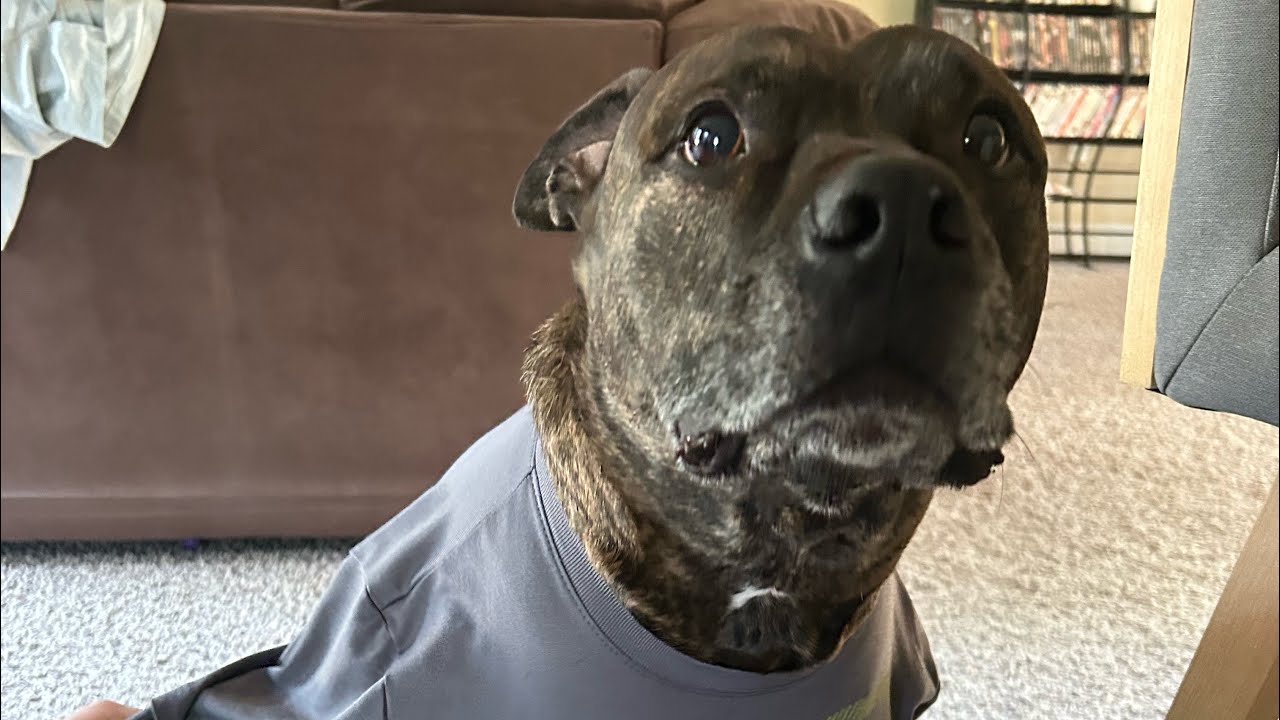 Veterans Affairs Further Issues #VAhospital #veteransbenefits #military #veteransaffairs #dd214