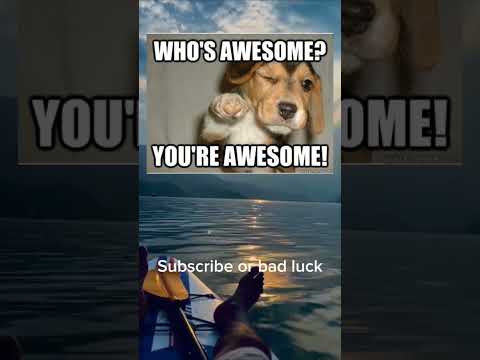 Just to let you know, you guys are awesome #meme #shorts #fyp