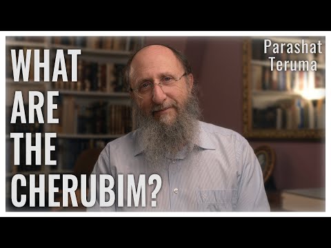 Parashat Teruma 5783: What are the Cherubim?