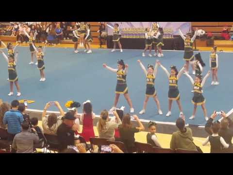 PS 71 Owls Cheerleading Elizabeth, NJ 2016