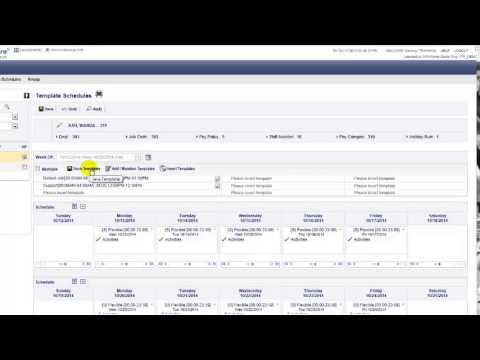 How to Use the Template and Free Form Schedules