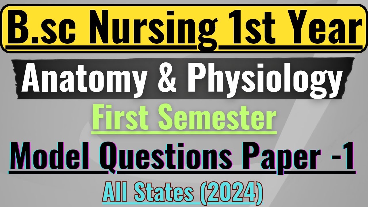 Comprehensive Guide to BSc Nursing 1st Year Anatomy and Physiology Model Question Paper 2024 ...