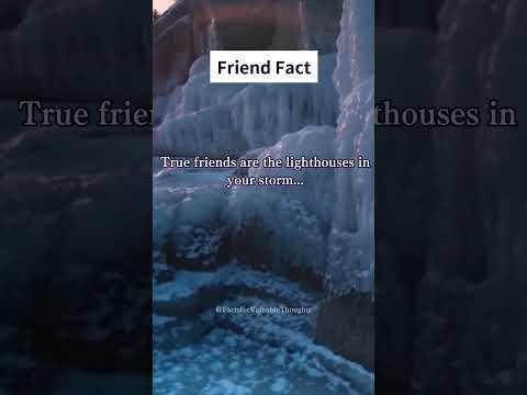 True friends are the lighthouses in your storm... # shorts # psychologyfacts # subscribe