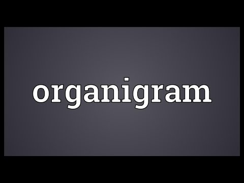 Organigram Meaning