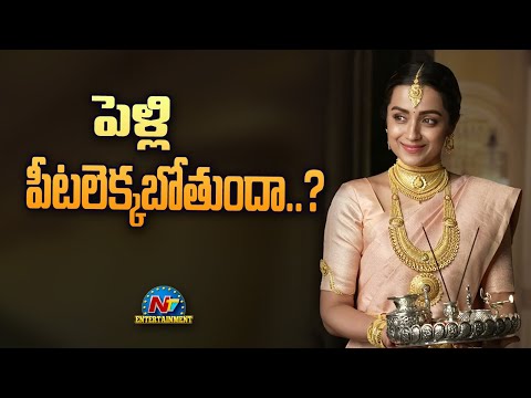 Is Trisha going to get married ? | Box office || @NTVENT