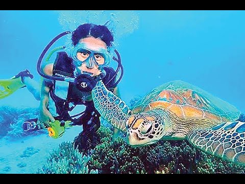 Exploring the Wonders of Marine Biology (3 Minutes Microlearning)