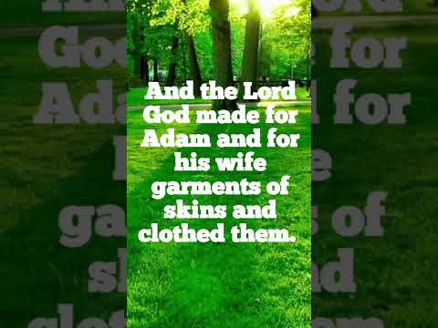 Genesis 3:21 ESV bible verse
