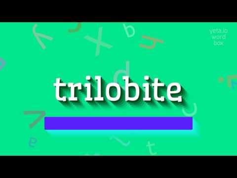 TRILOBITE - HOW TO PRONOUNCE IT?