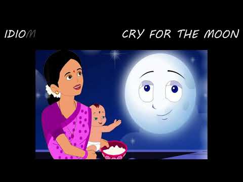 word & idiom | meaning and how to use it in a sentence