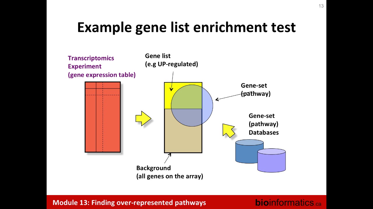 Finding Over-Represented Pathways