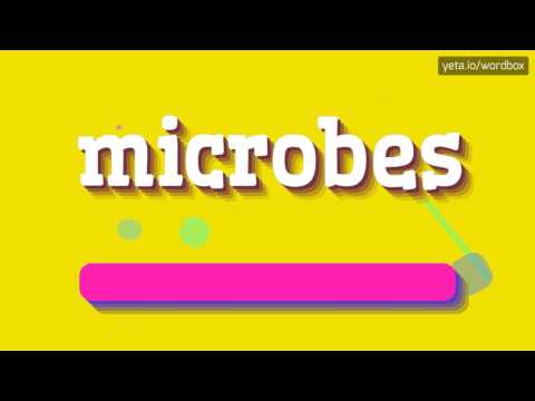 MICROBES - HOW TO PRONOUNCE IT!?