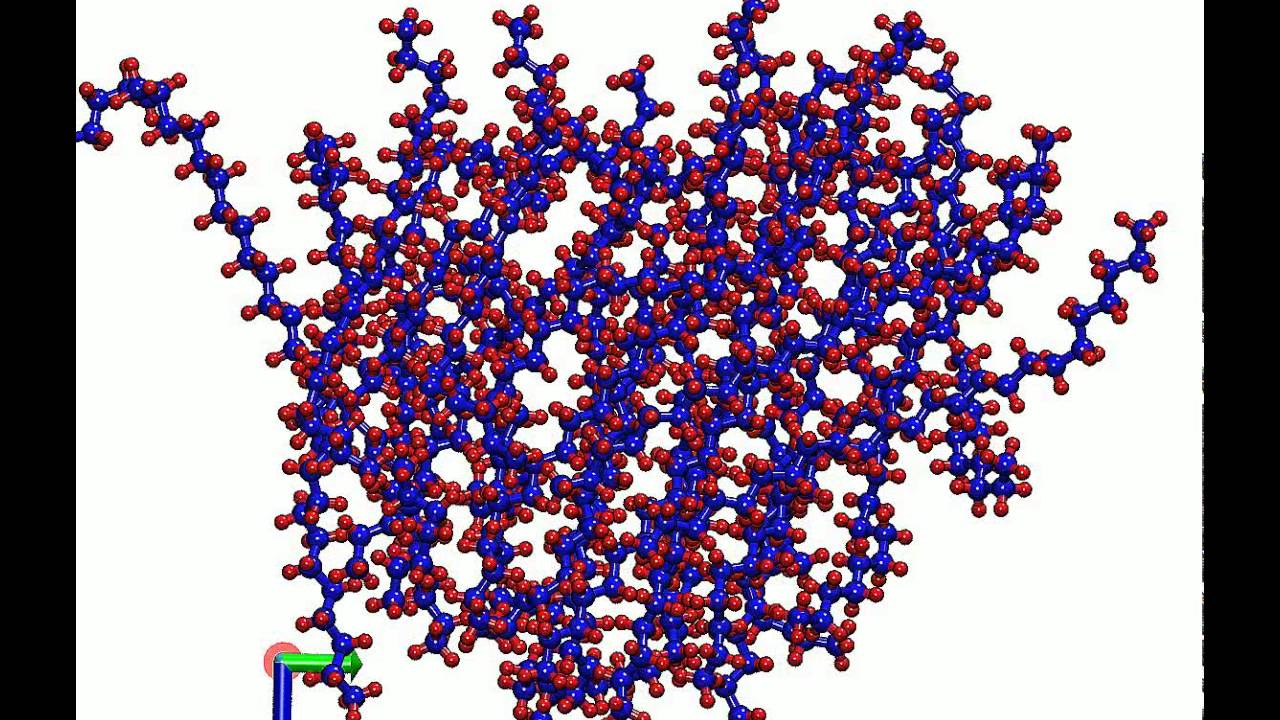 Polymer chain adsorption and organization on SWCNT: Molecular Dynamics Simulations