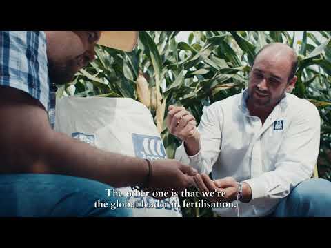 What sets Yara apart in precision agriculture